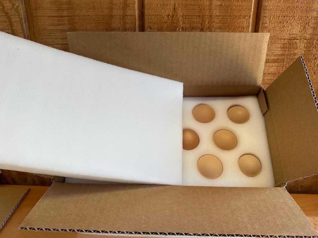 Foam Egg Shippers - Ship Your Hatching Eggs Safely and Easily