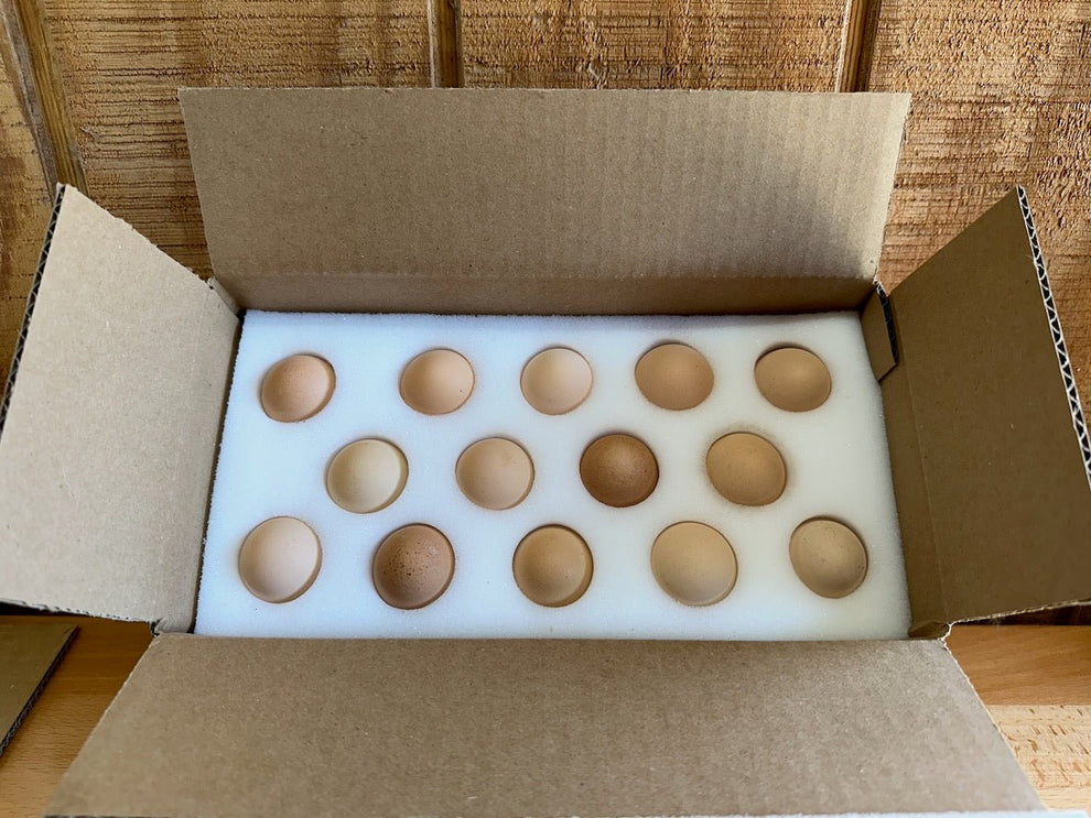14 Hole Foam Egg Shipper Complete Kit (with Boxes)