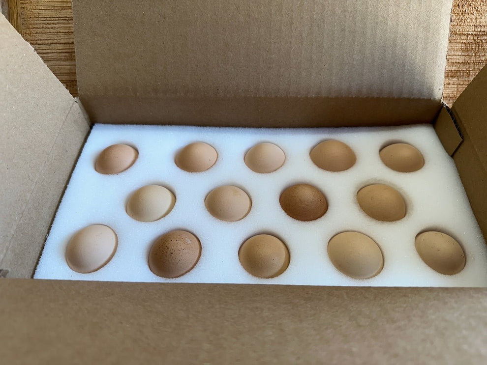 14 Hole Foam Egg Shipper Complete Kit (with Boxes)